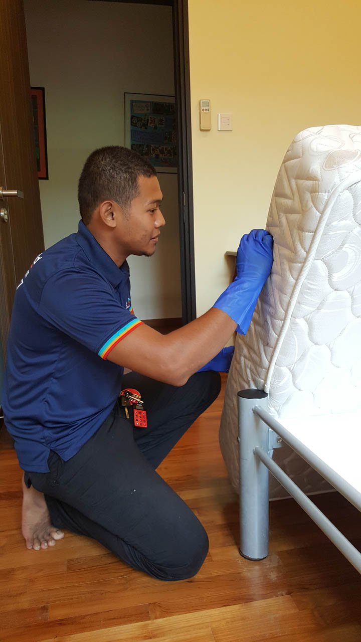 Pest Control for HDB | Residential Pest Control | Pest Off Pte Ltd